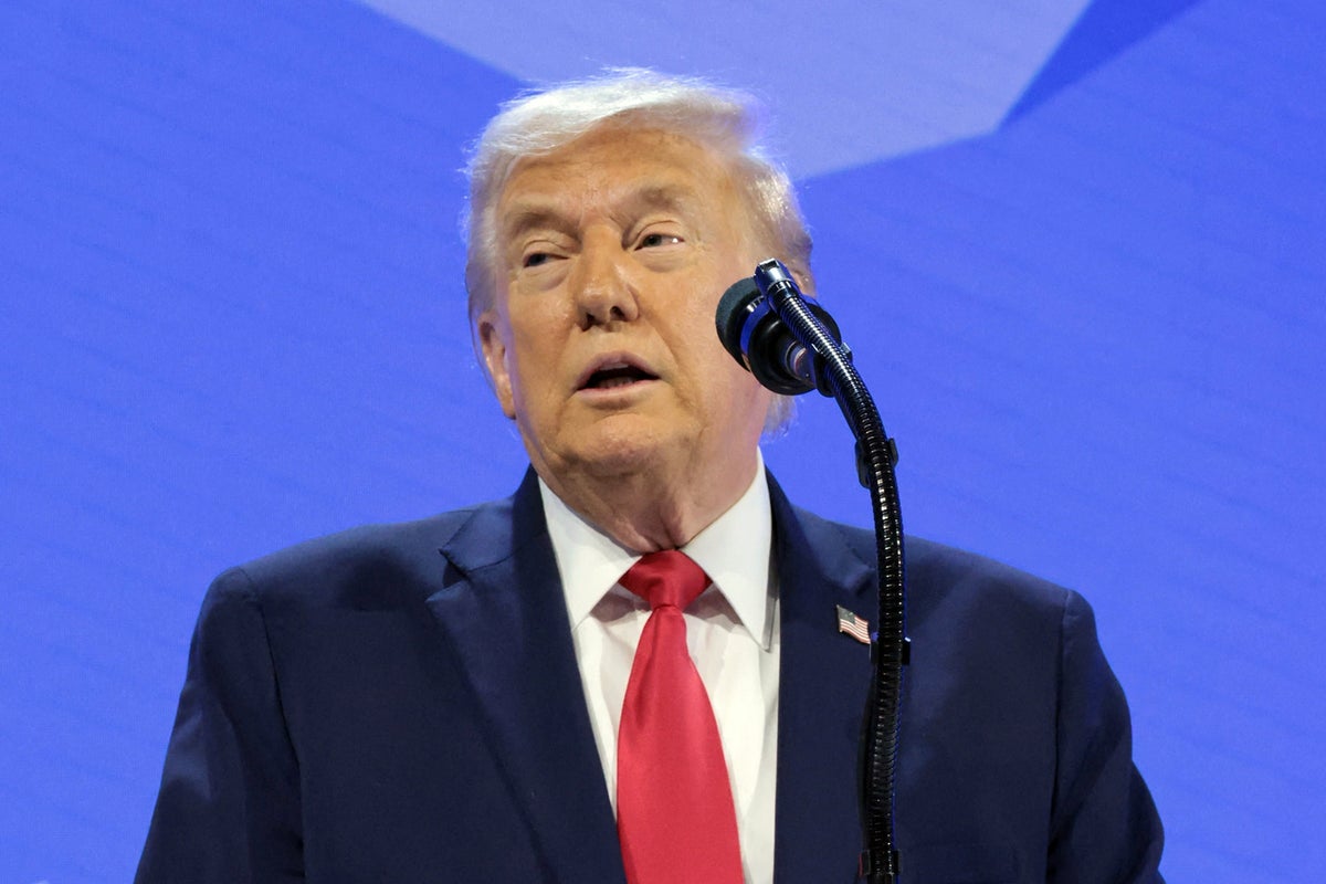 Trump claims 'stupid people' buy windfarms