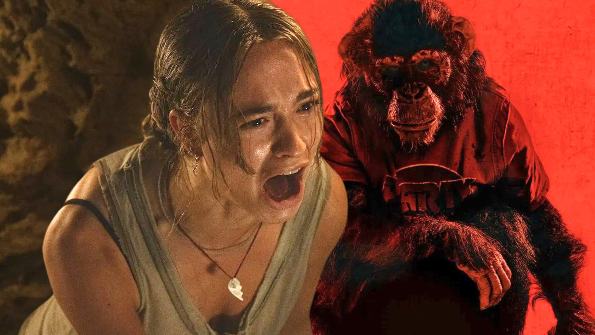 Primate : critique qui ne sait pas à quel singe se vouer