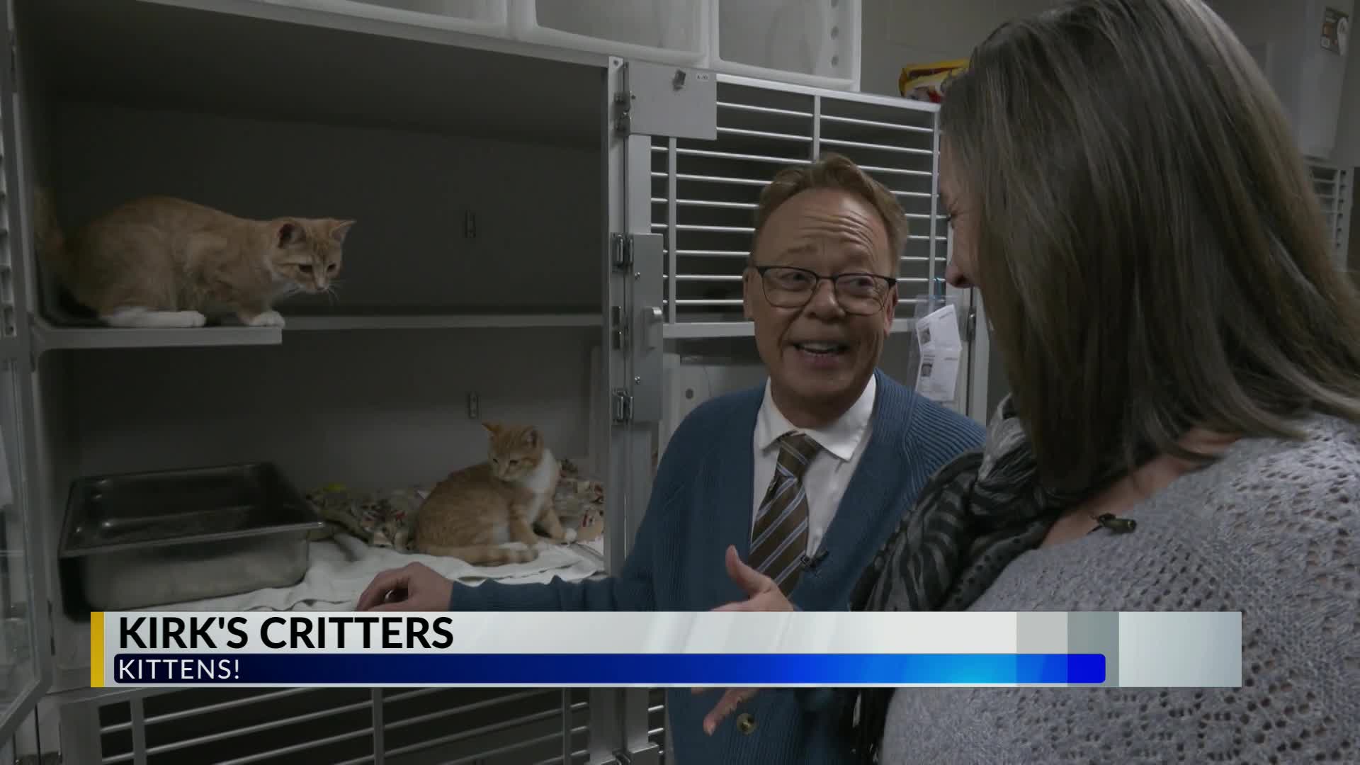 Kirk's critters: kittens!