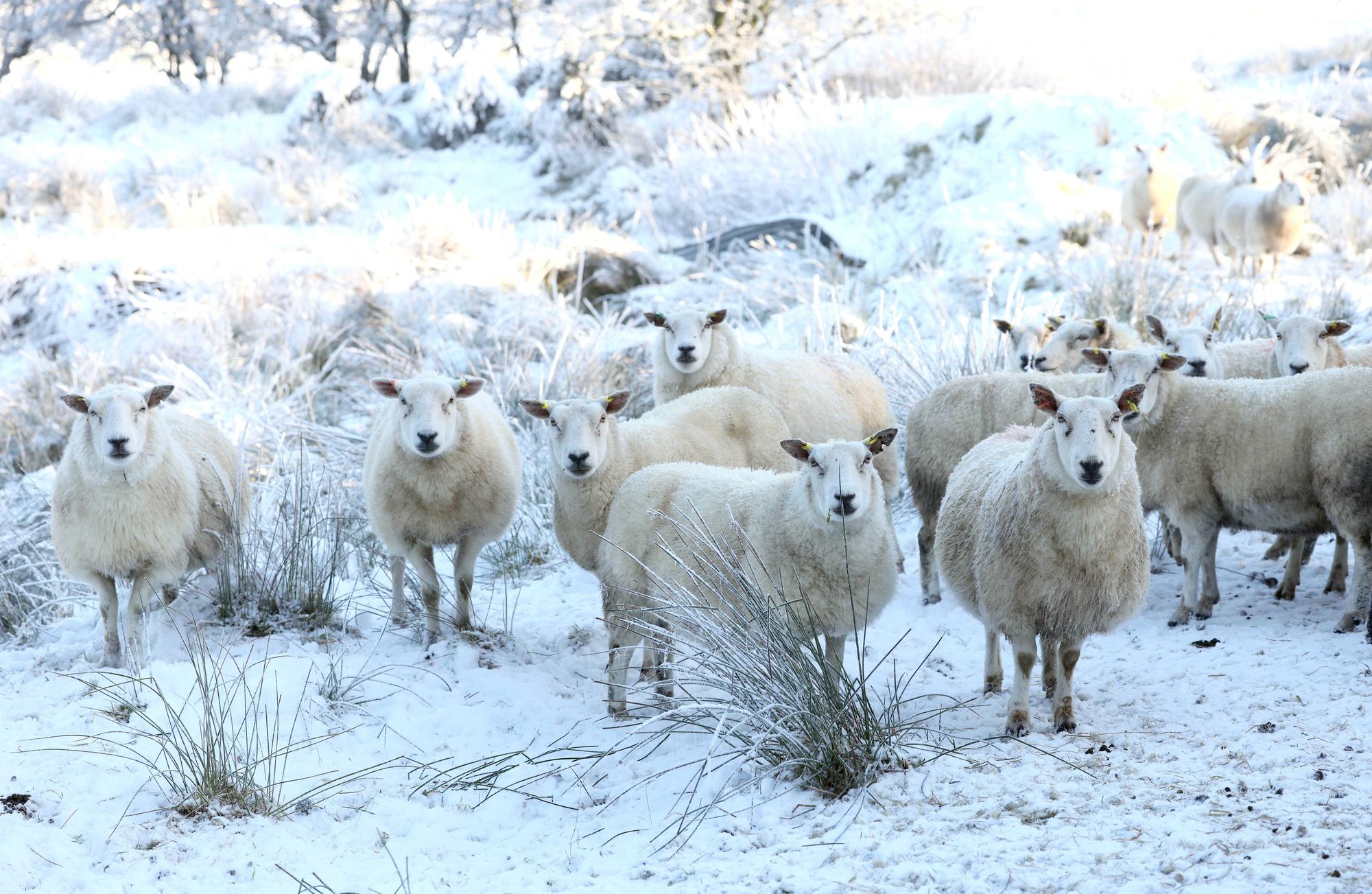 Could snow and colder conditions return to Northern Ireland next week?