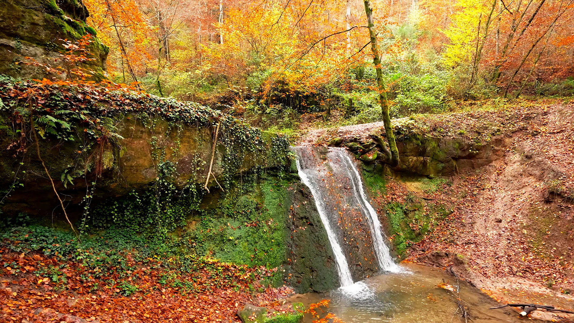 Sirzenicher waterfall Germany peaceful autumn forest walk (4K)