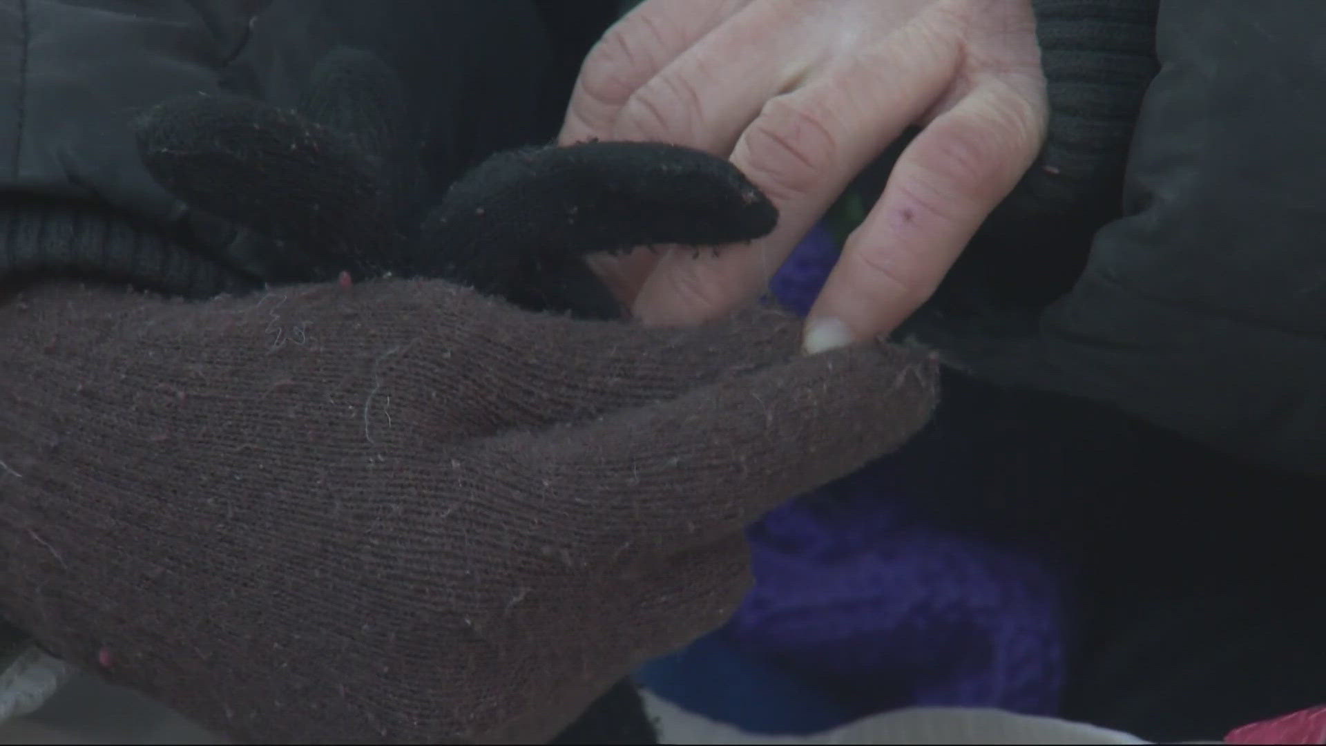 How to watch for frostbite and hypothermia during the cold