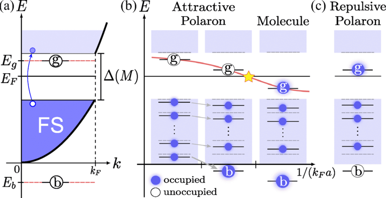 New unified theory connects two fundamental domains of modern quantum ...