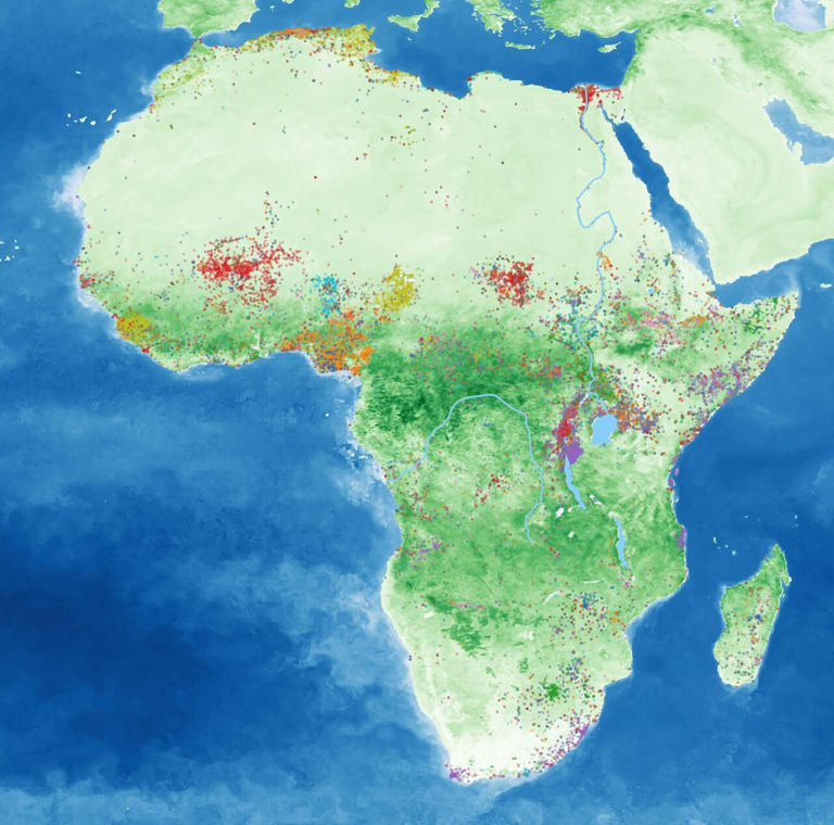 Data-driven analysis reveals three archetypes of armed conflicts