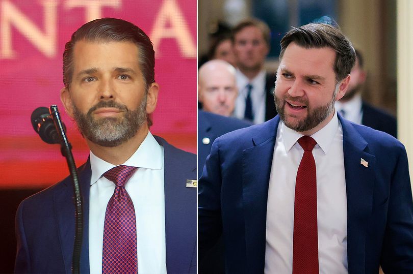 Donald Trump Jr congratulates JD Vance on baby news by poking fun with meme
