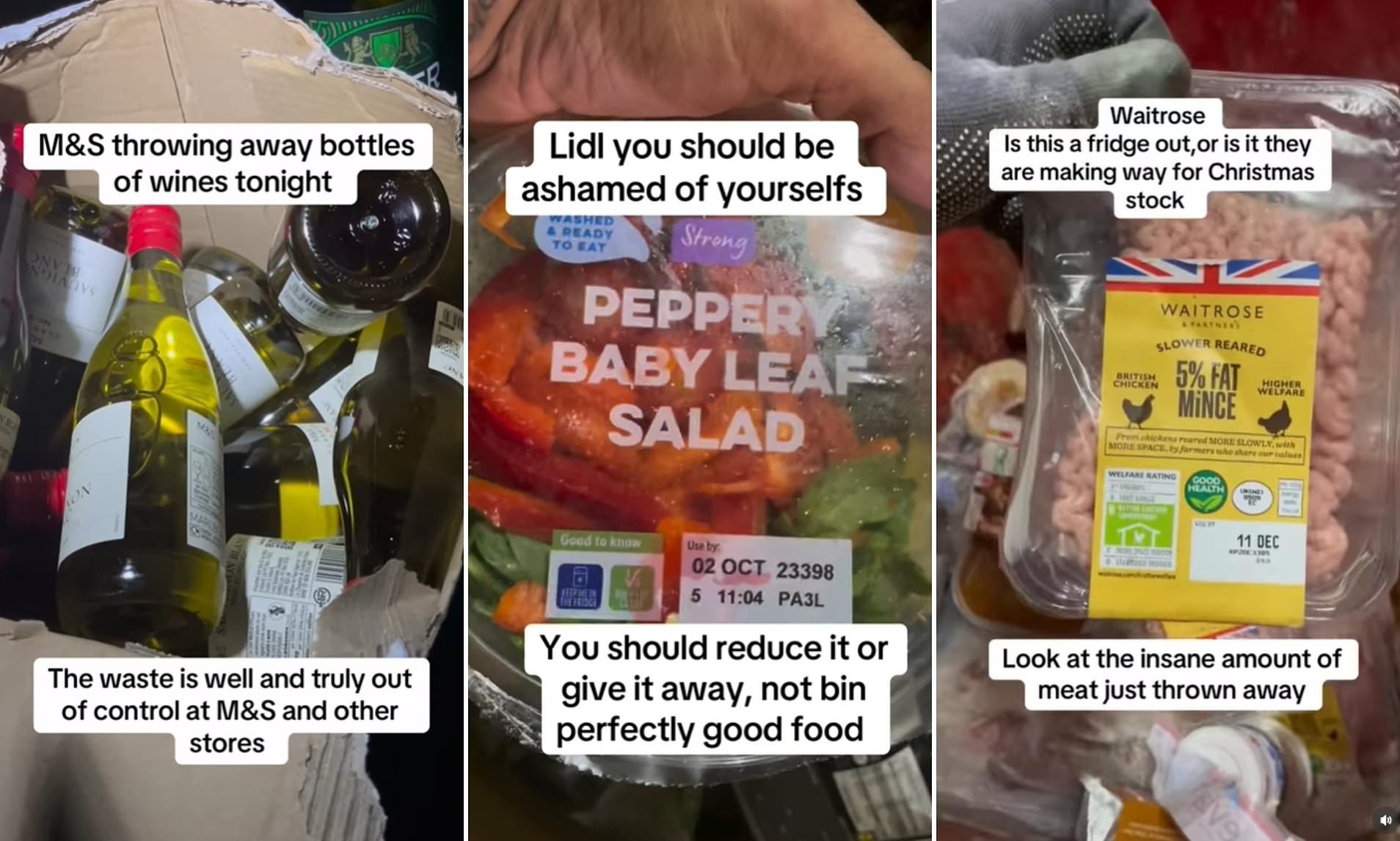 Food waste vigilante accuses supermarkets of throwing out perfectly ...