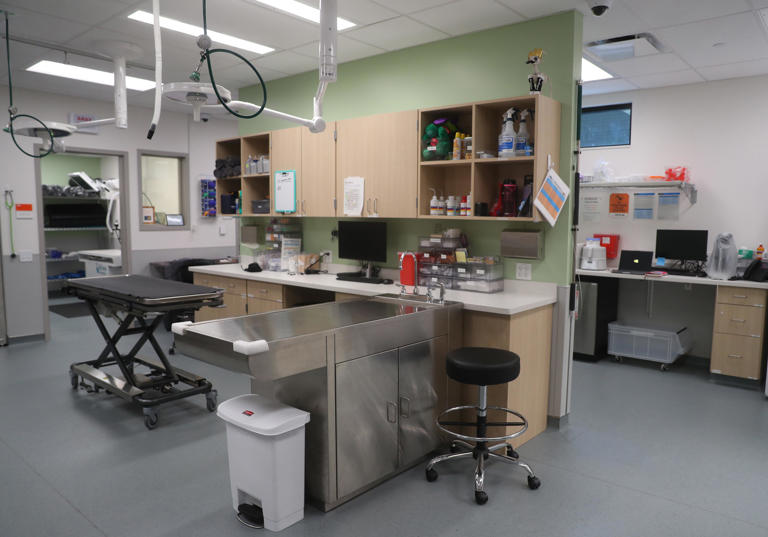 ASPCA opens first care center in New York, outside of NYC, locally