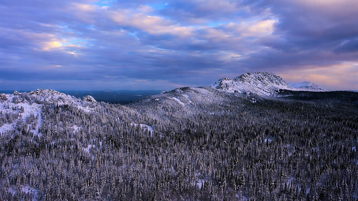 Atardecer en el bosque nevado