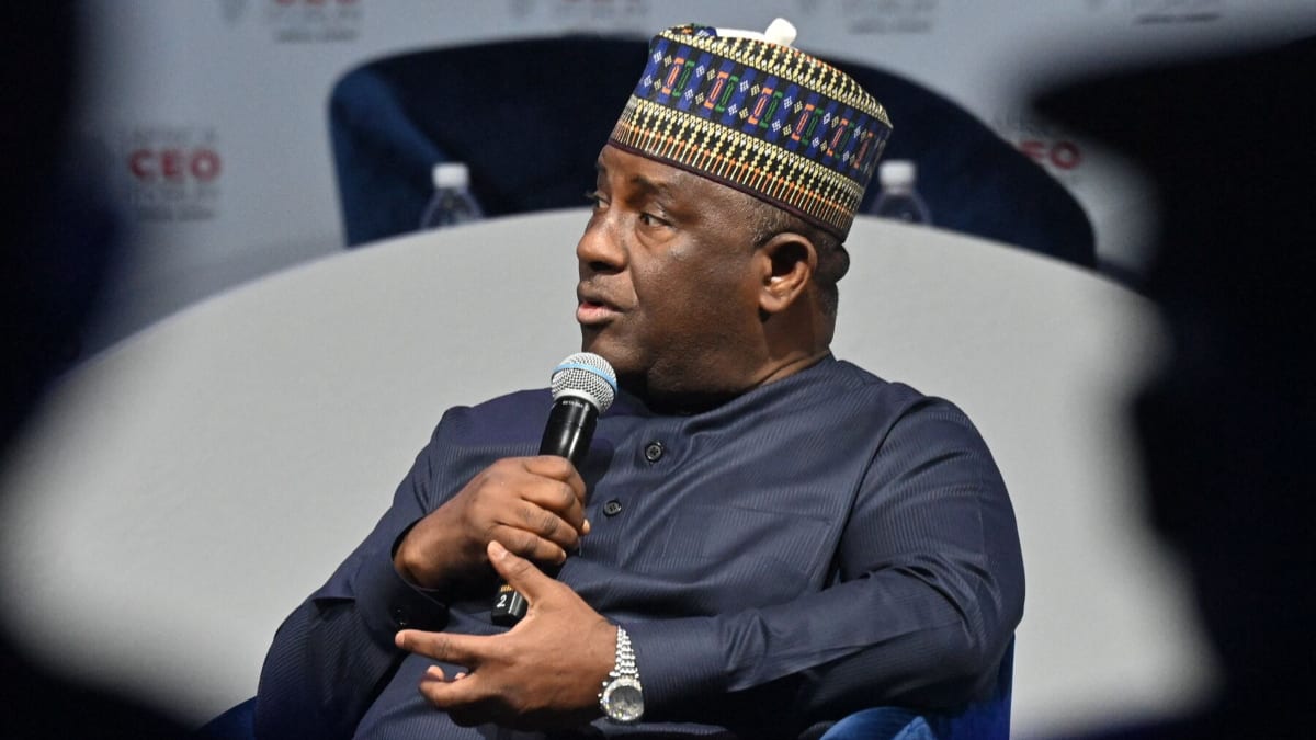Billionaire Rabiu targets 20-million-tonne BUA cement expansion with ...