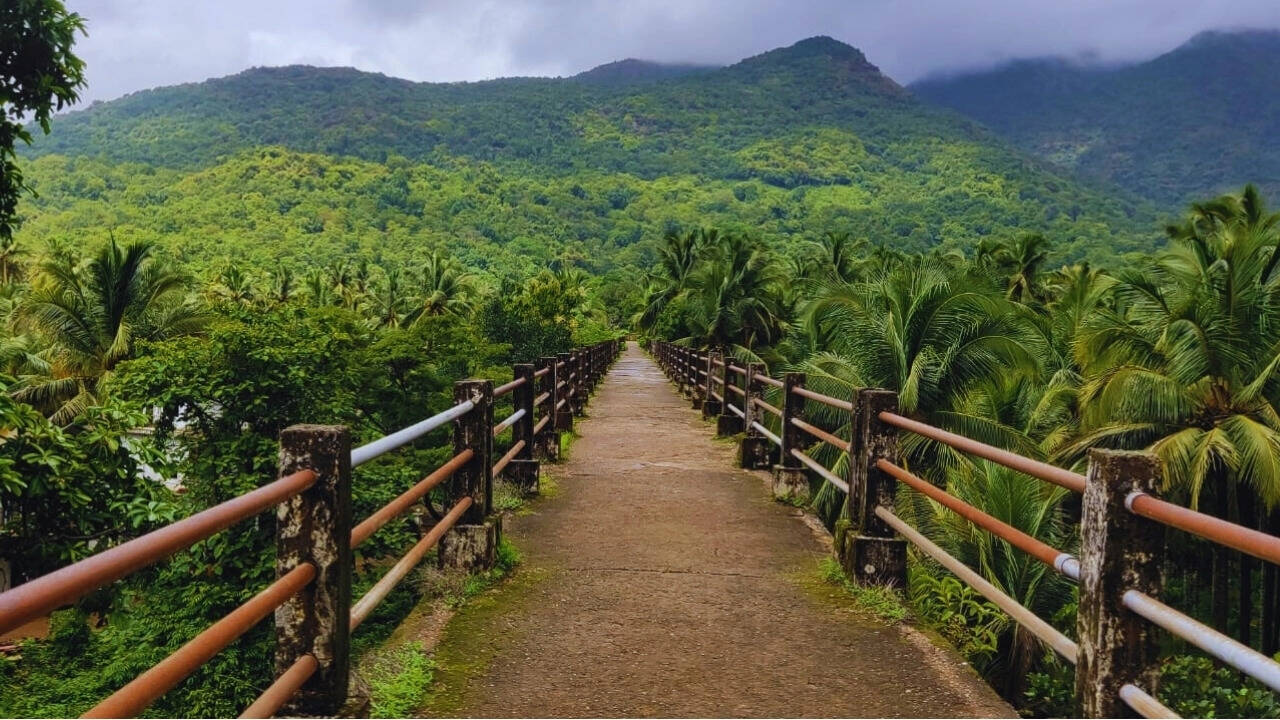 I travelled against the usual trend in Goa and what I saw was something ...