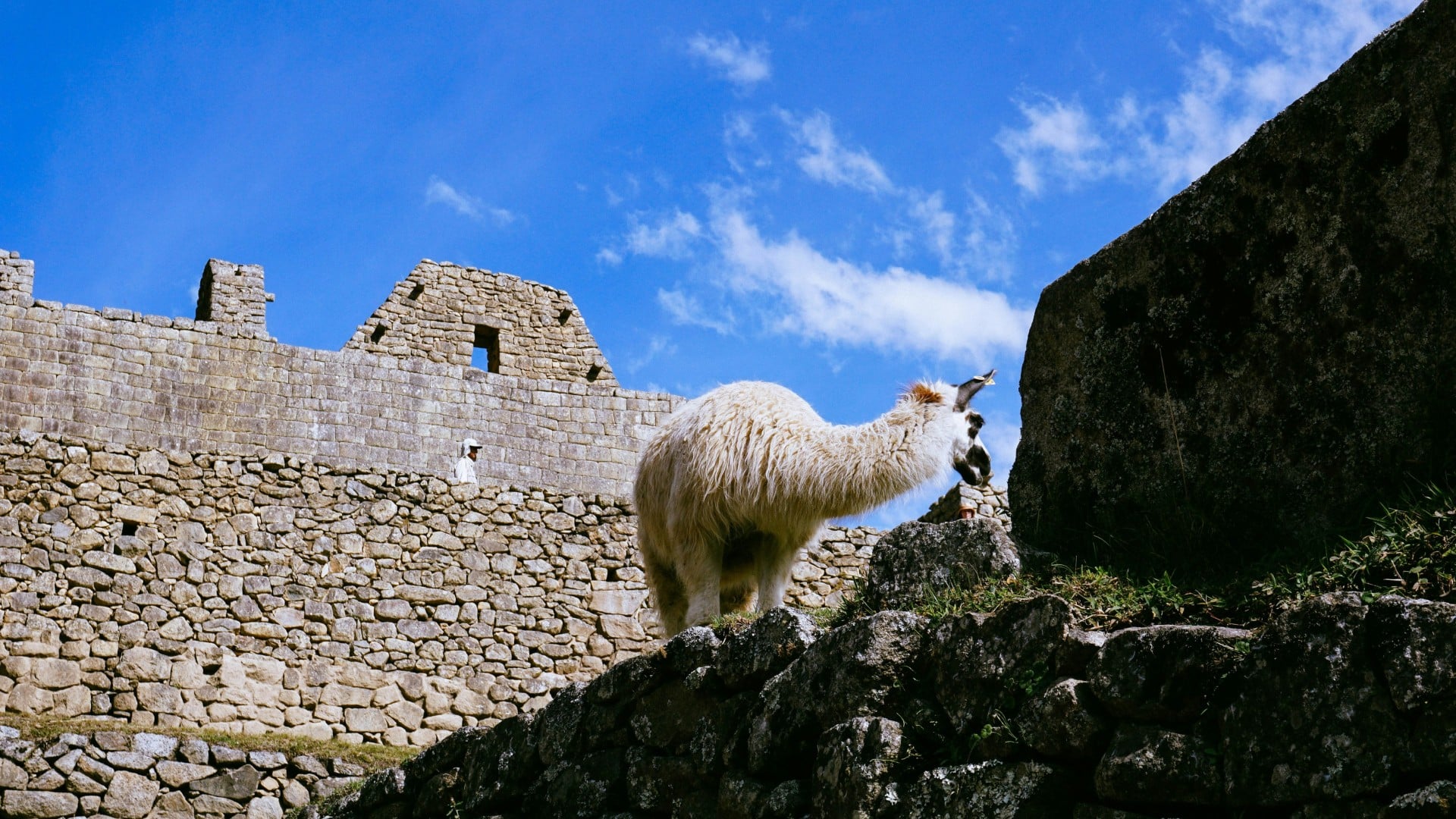 Comment les ruines d'anciennes civilisations sont devenues des ...