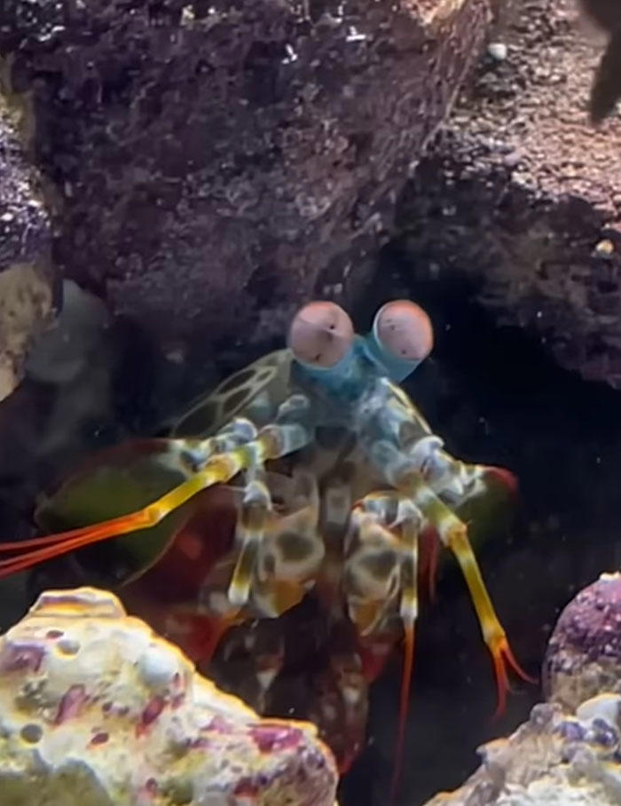 Someone asks what’s the scariest thing in the ocean that has photo ...