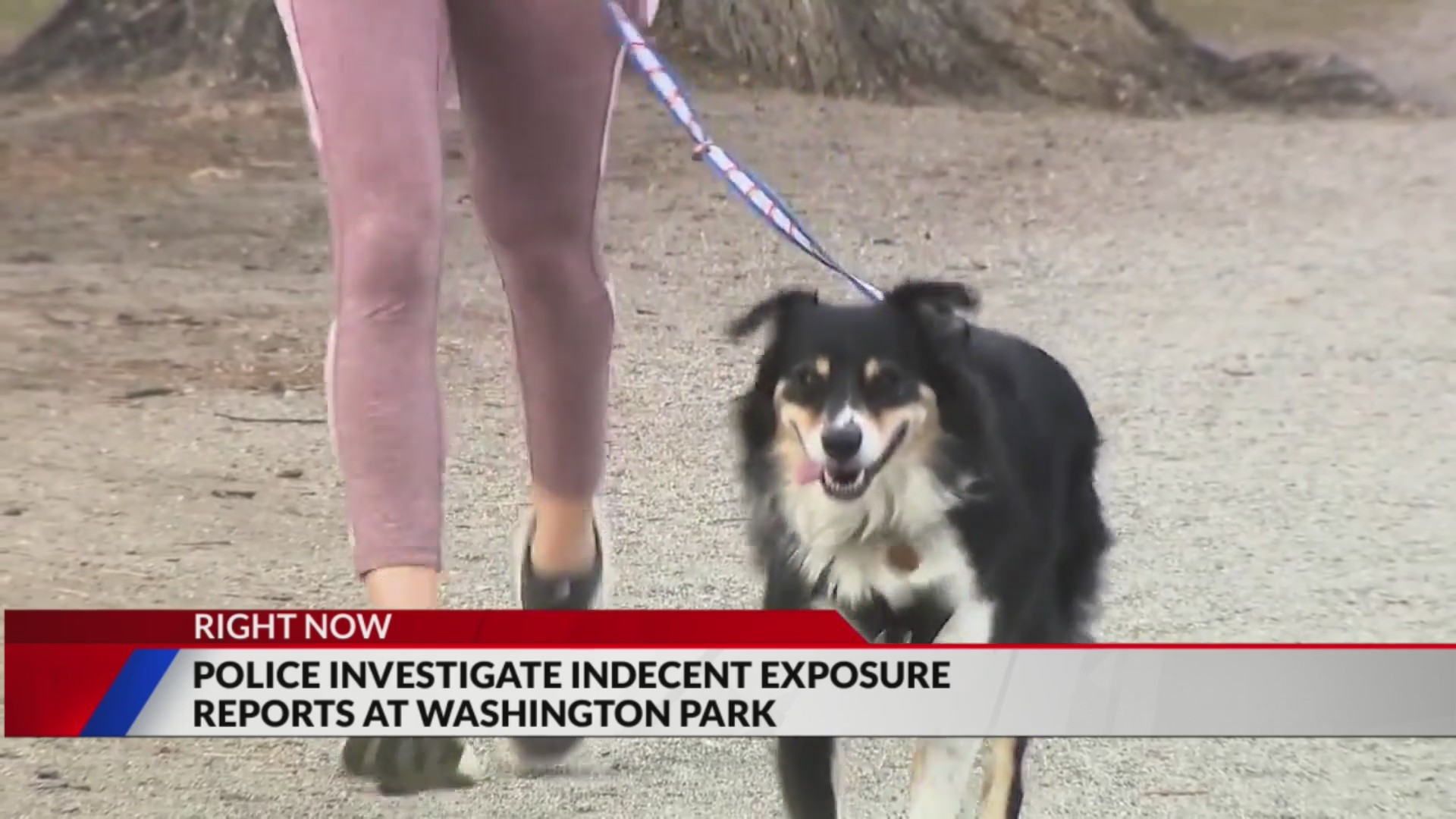 Several indecent exposure incidents reported near Washington Park