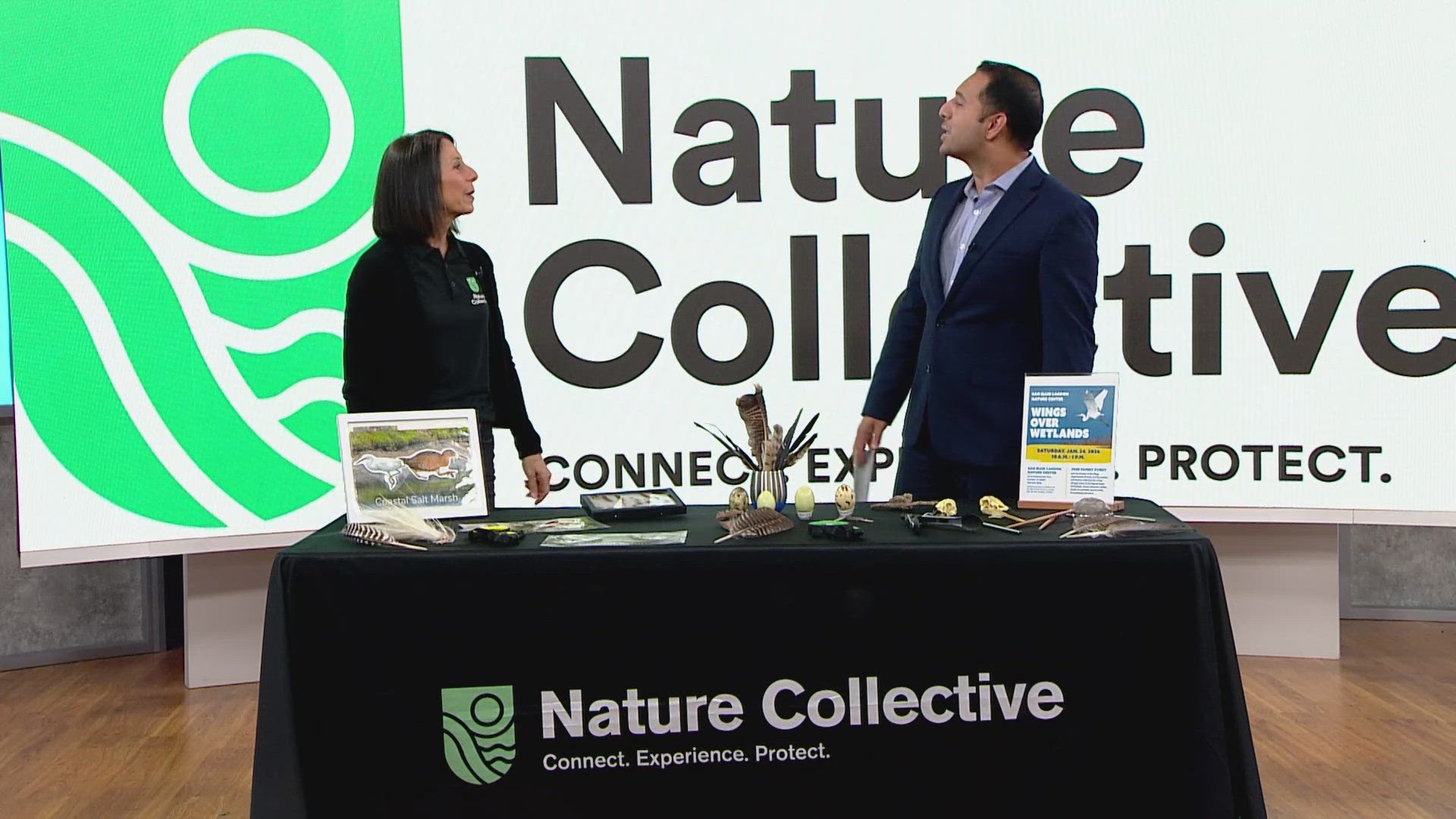 Nature Collective hosts Wings Over Wetlands event | Saturday, Jan. 24