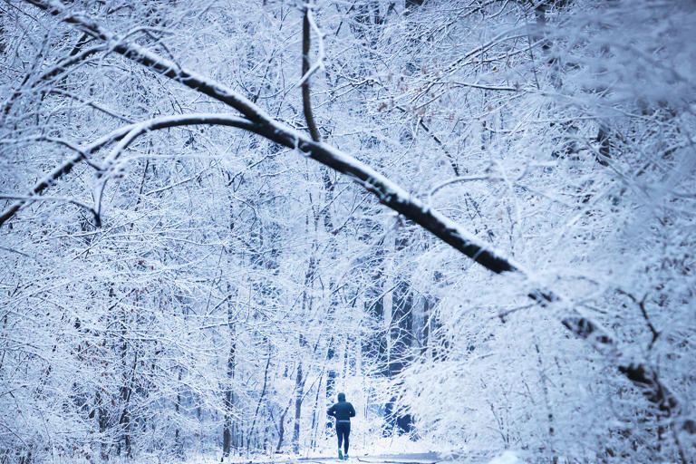What were the biggest snowstorms in Memphis? See how many inches