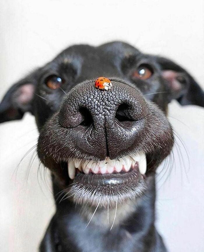 45 random images that are too weird to ignore, as shared on this ...