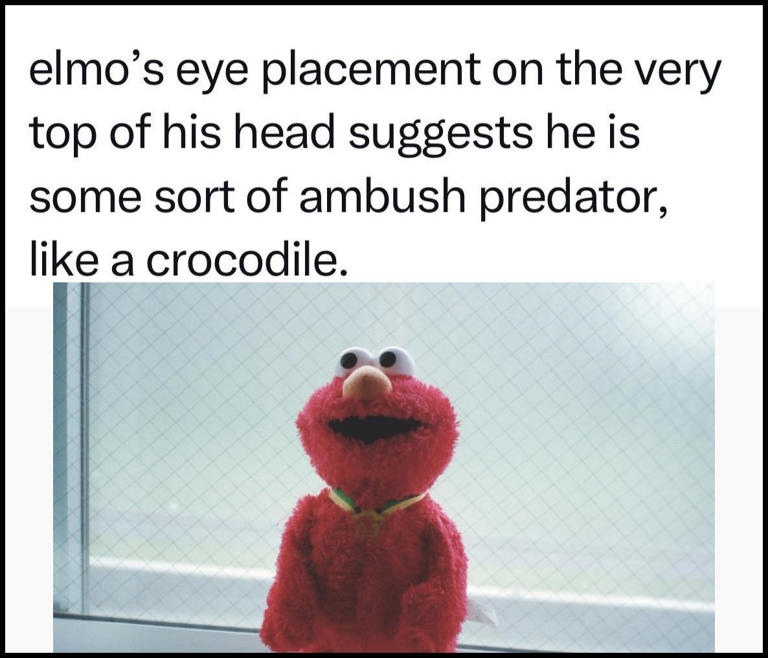 36+ posts that are giving major side eye energy