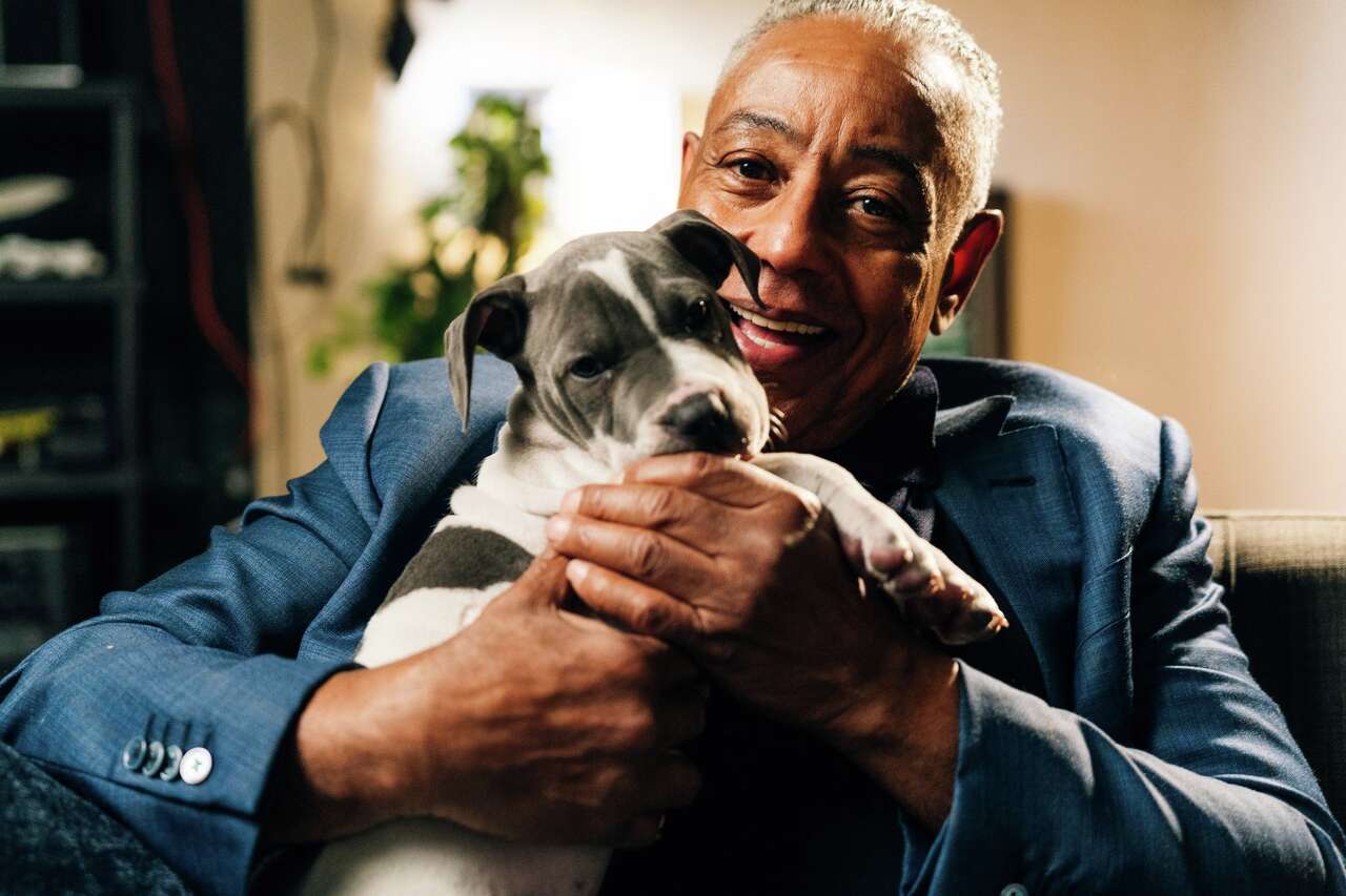 'Breaking Bad' star Giancarlo Esposito named spokesman for San Antonio ...