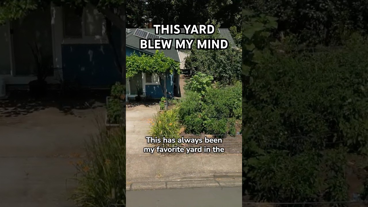 I transformed my yard into a food oasis 🌱