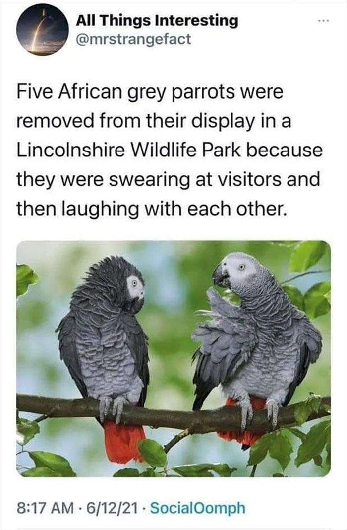 People are creating memes about nature and all things environment, here ...