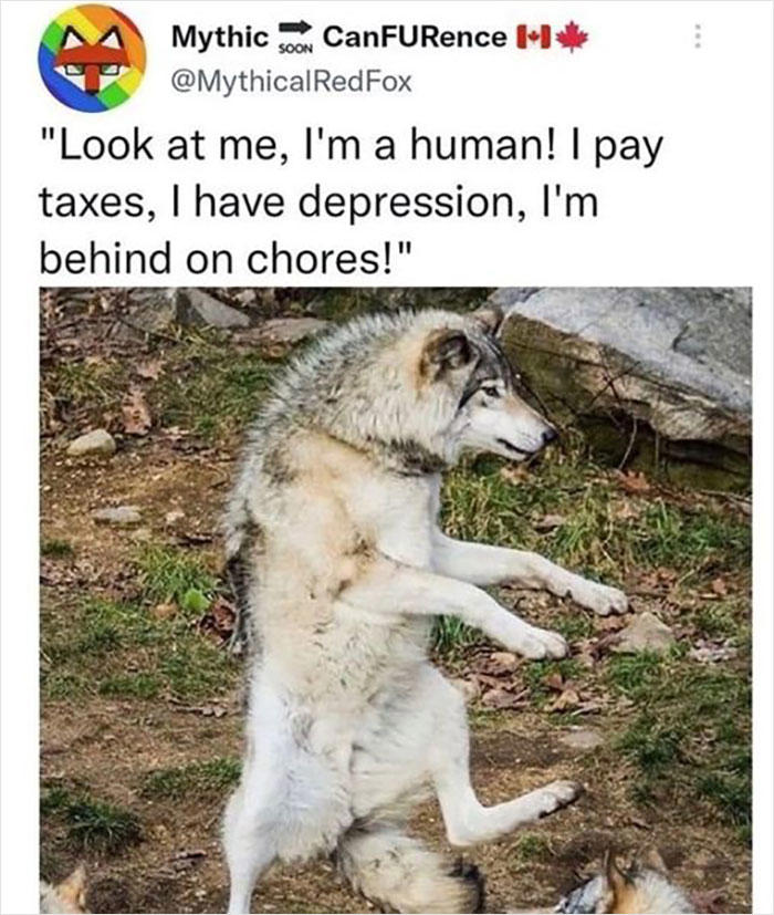 People are creating memes about nature and all things environment, here ...