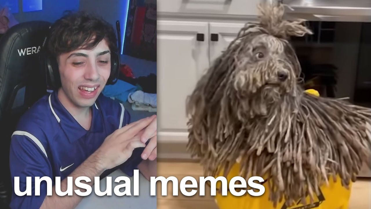 ¡Streamer reacciona a los memes más inusuales y graciosos del internet!