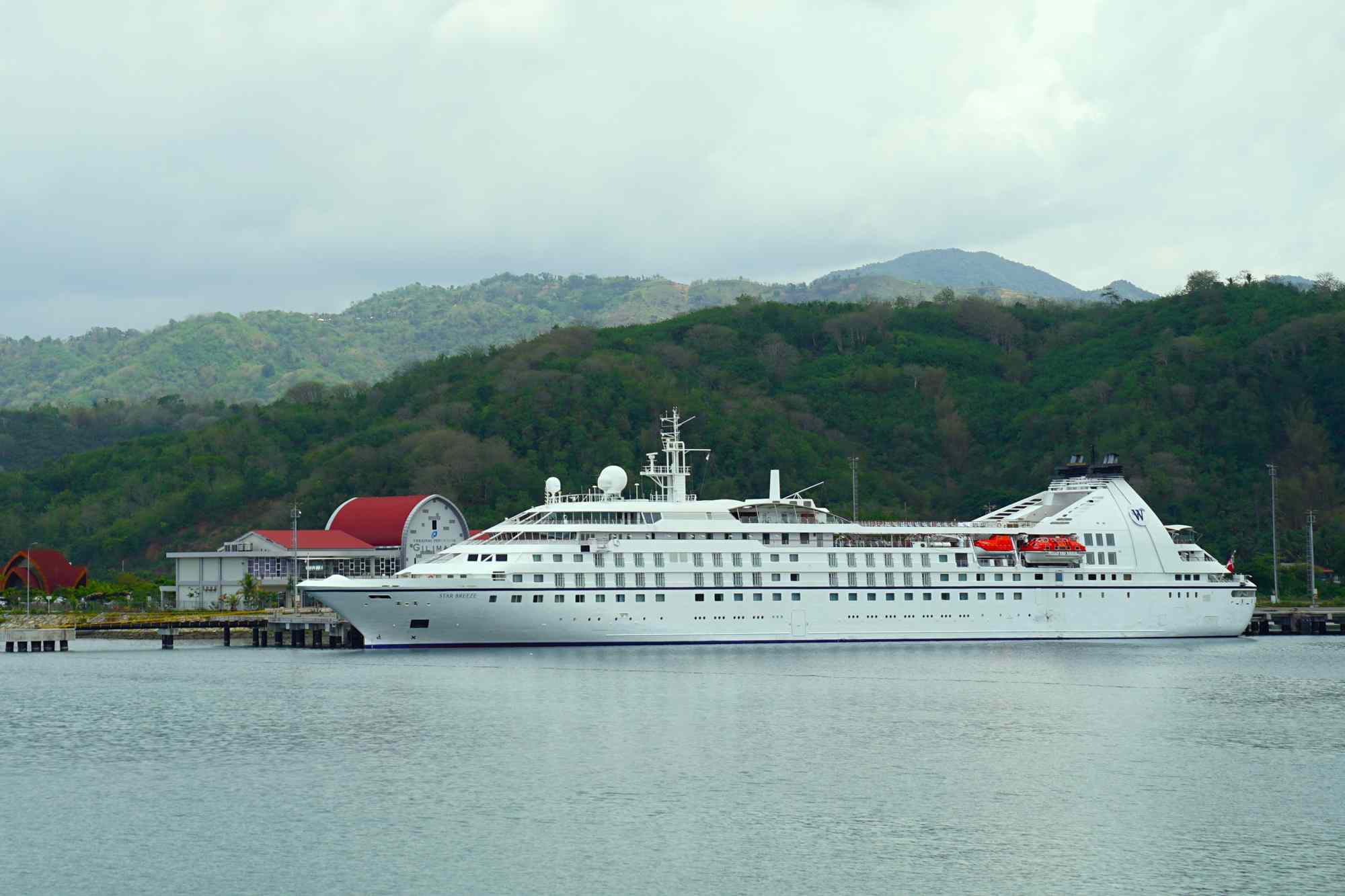 American cruise passenger missing after going overboard on luxury ship ...