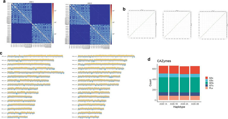 Unlocking genetic code of crop-damaging fungus paves way for better ...