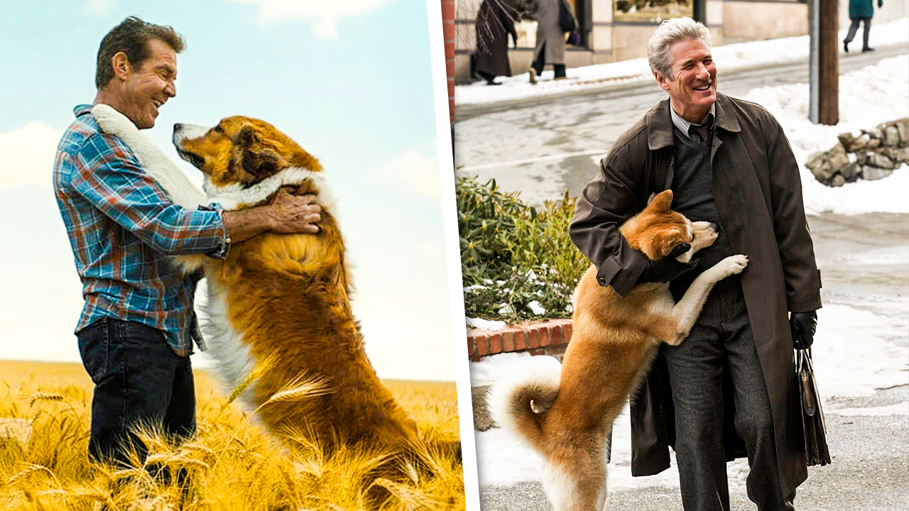 The best dog movies of all time — heartwarming canine classics