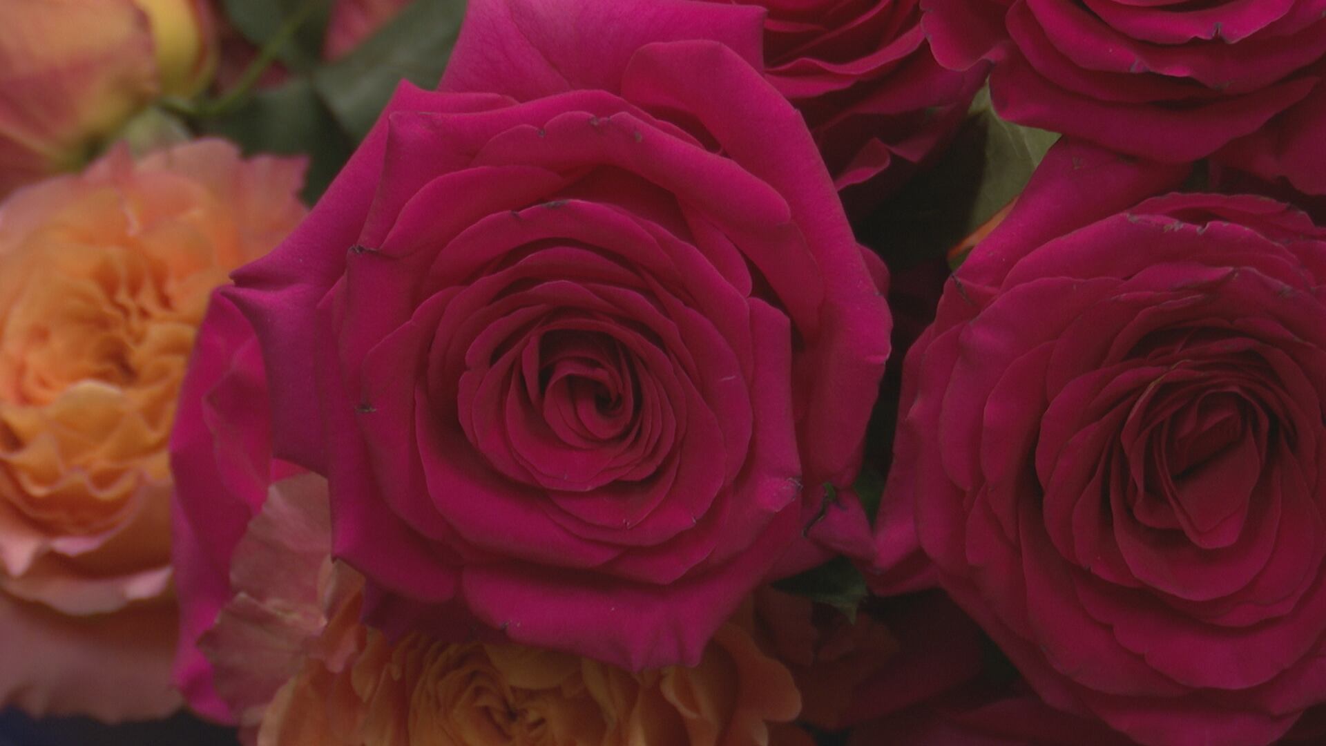 Bouquets & bourbon to fundraise for Beacon House