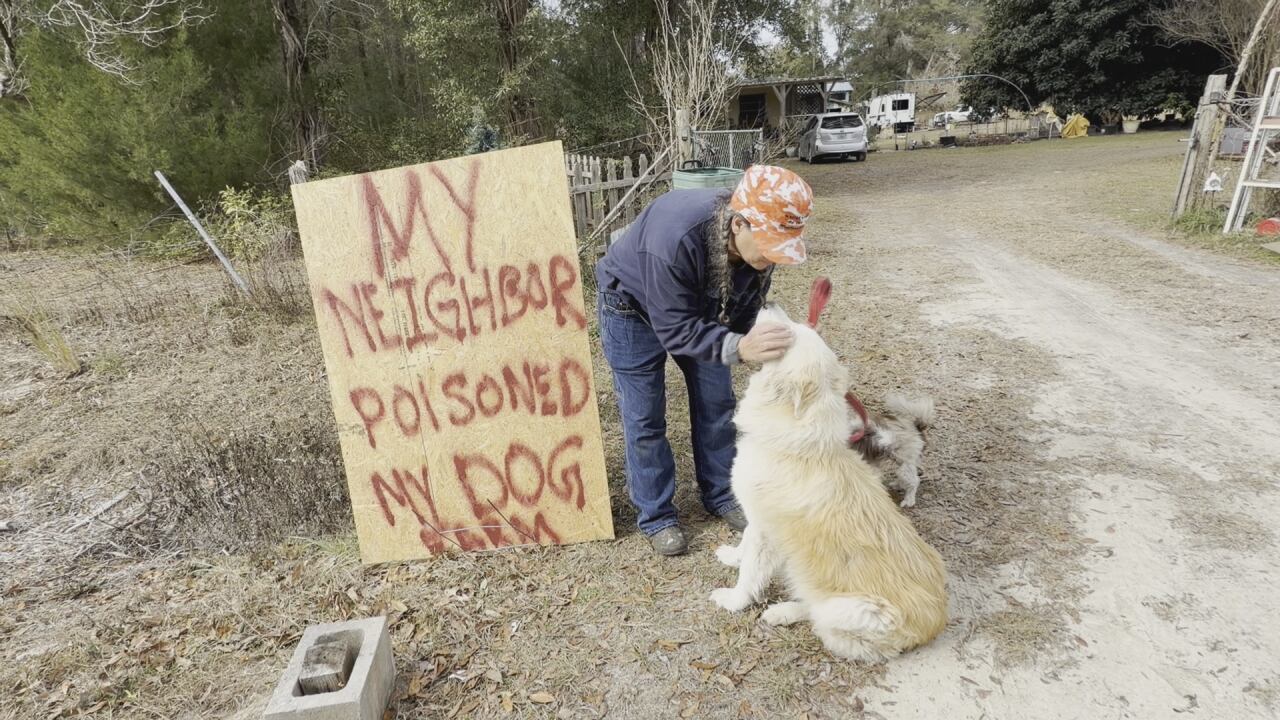 Fort White woman accuses neighbor of poisoning dog in ongoing dispute
