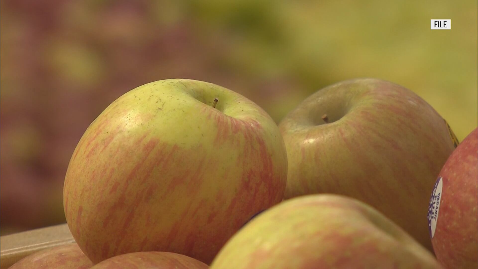 Food science and human nutrition professor offers tips for those taking ...