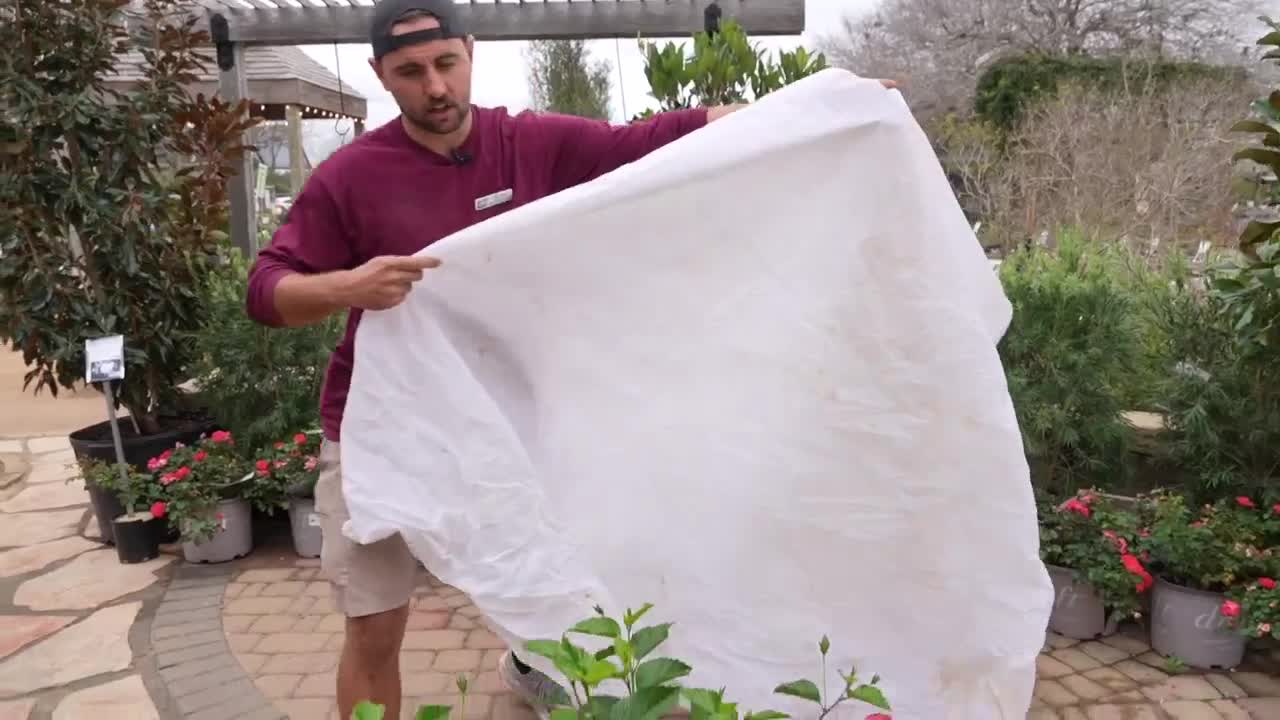 Prepare now, not later: Why you should water your plants ahead of this ...