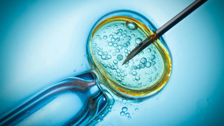 Woman gives birth to baby that isn’t hers, sues Florida IVF clinic ...