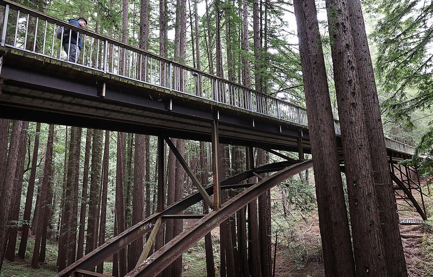 Photos | Walking along the bridges of UC Santa Cruz
