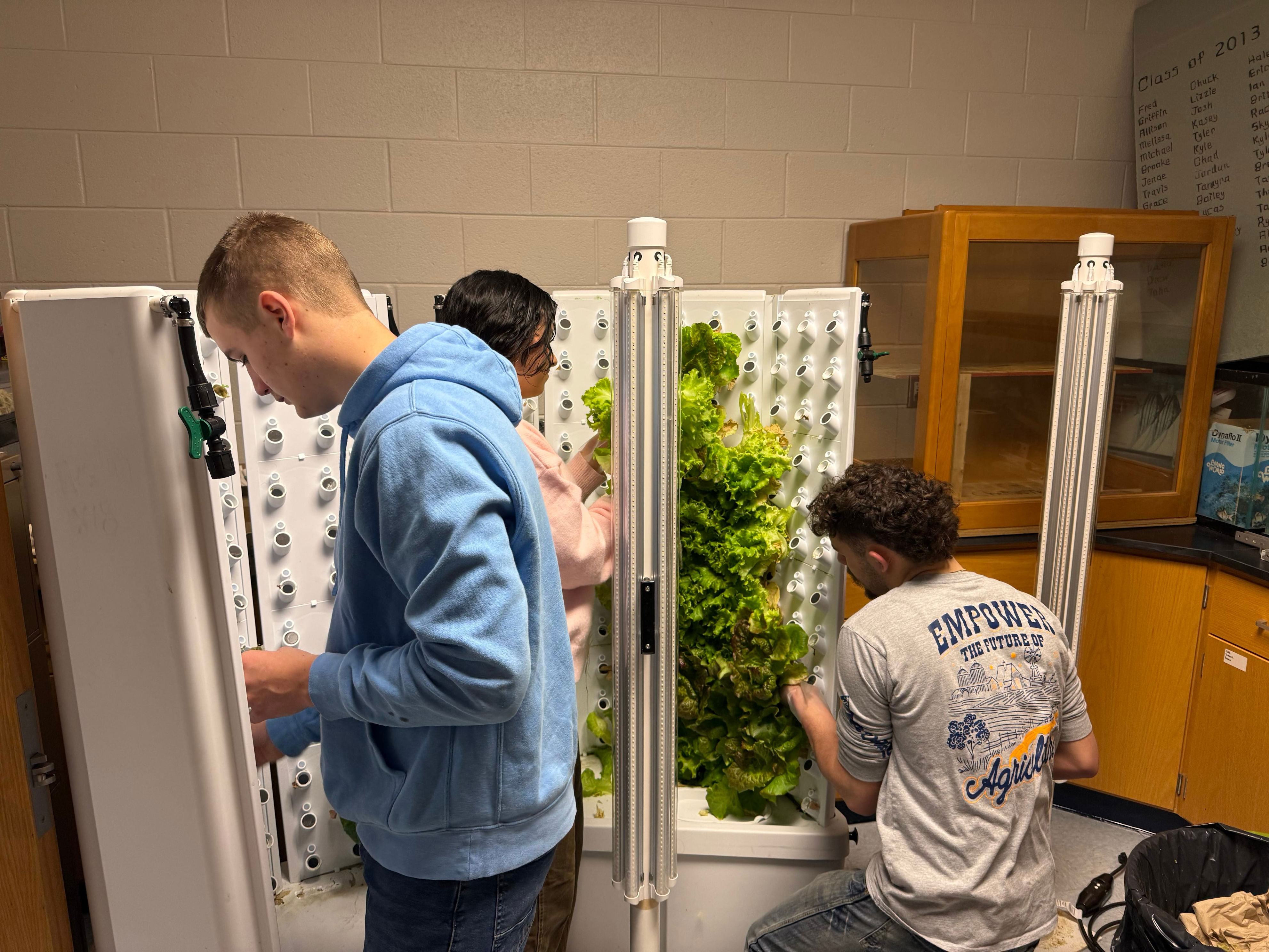 Gladstone students harvest for new agri-science program