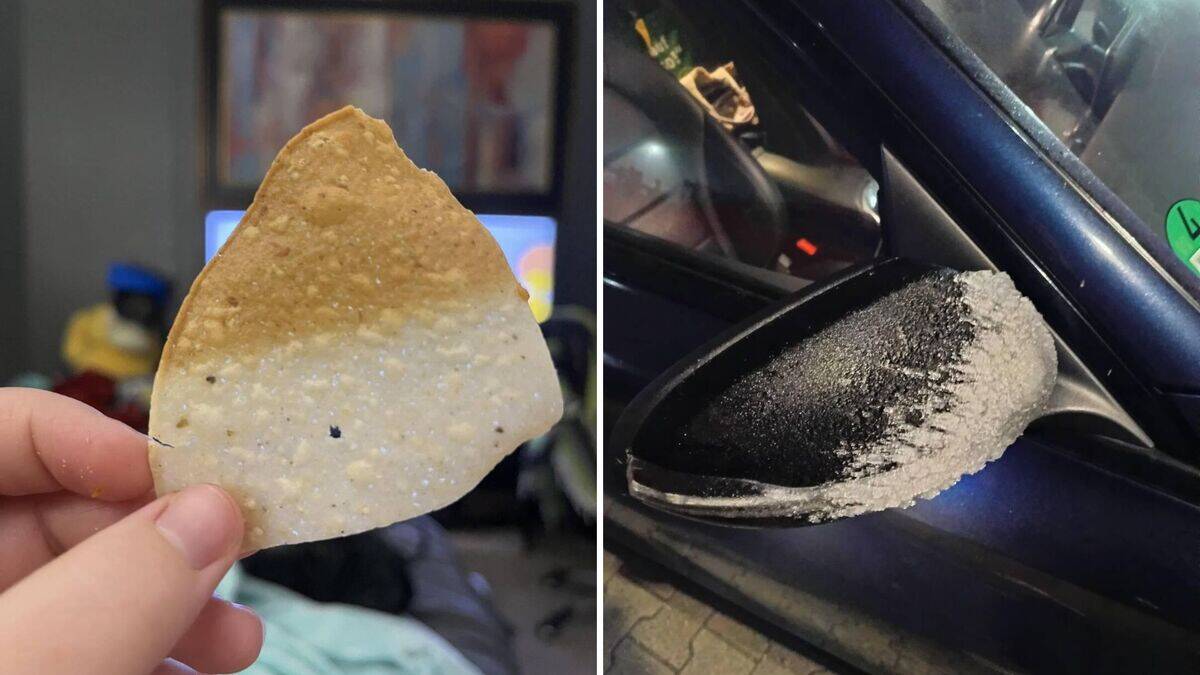13 things that were just interesting enough to warrant a photo