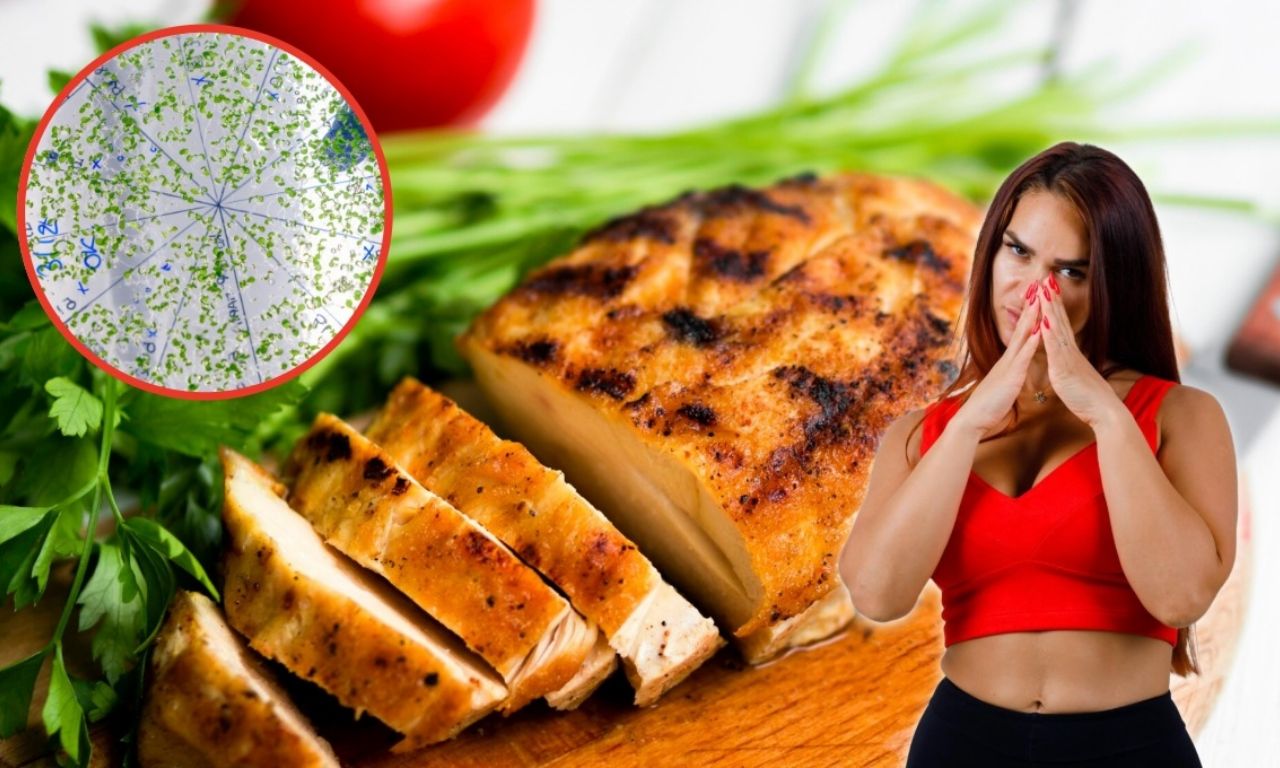 Ordenan retiro inmediato de más de seis toneladas de pollo de todas las ...
