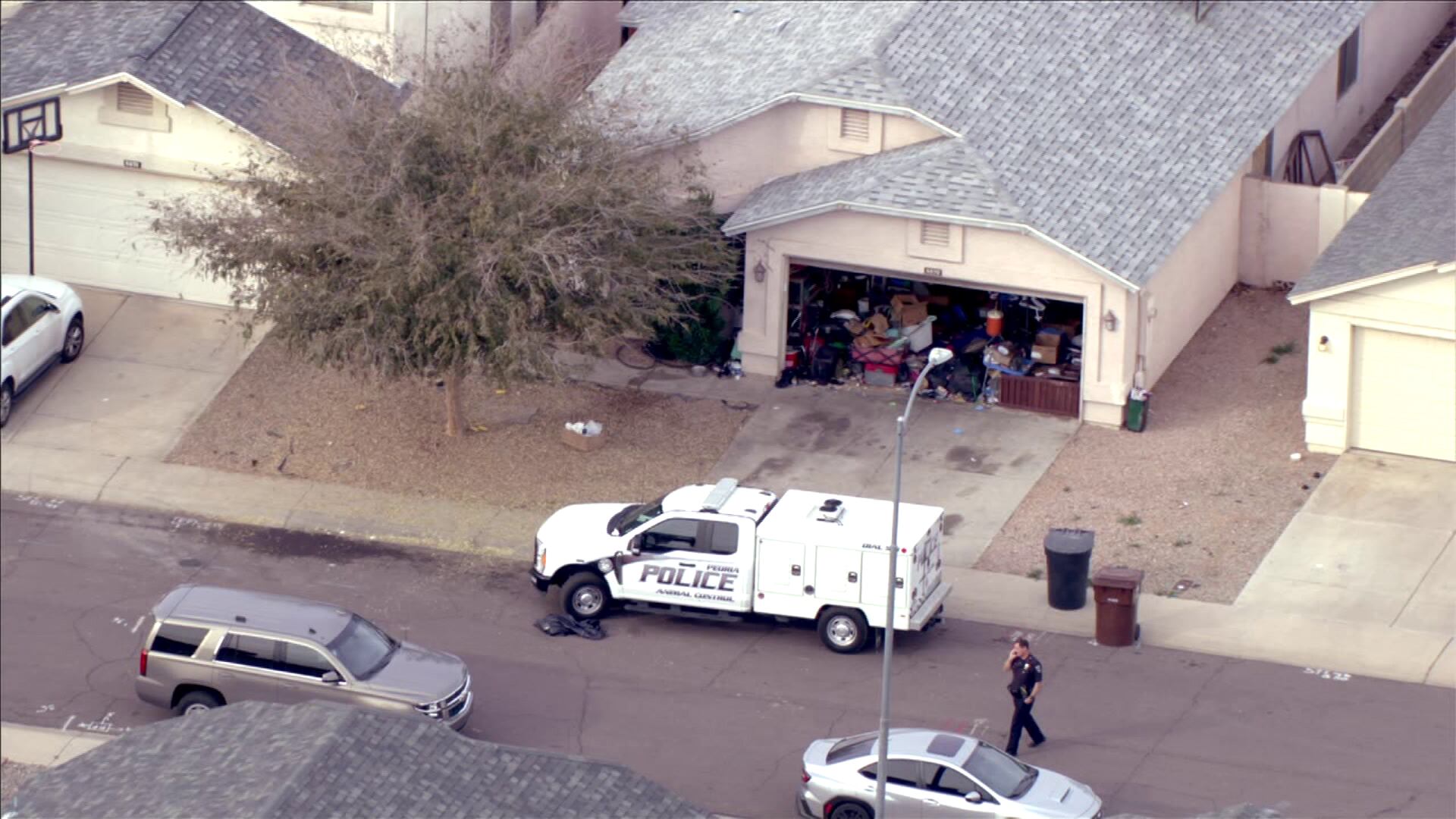40 to 50 dogs seized from Peoria home; no arrests made