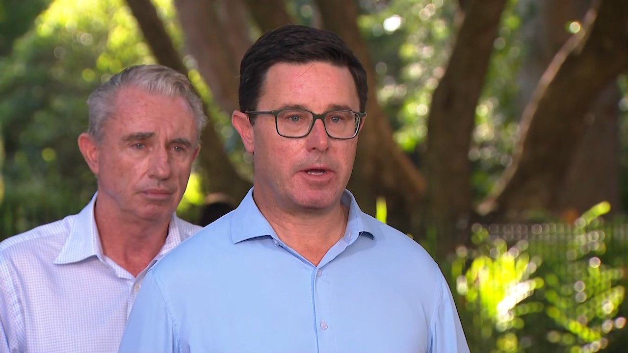 Coalition splits again as Sussan Ley goes quiet and David Littleproud ...