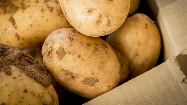 Don't toss out that empty cardboard box — use it to keep your potatoes ...