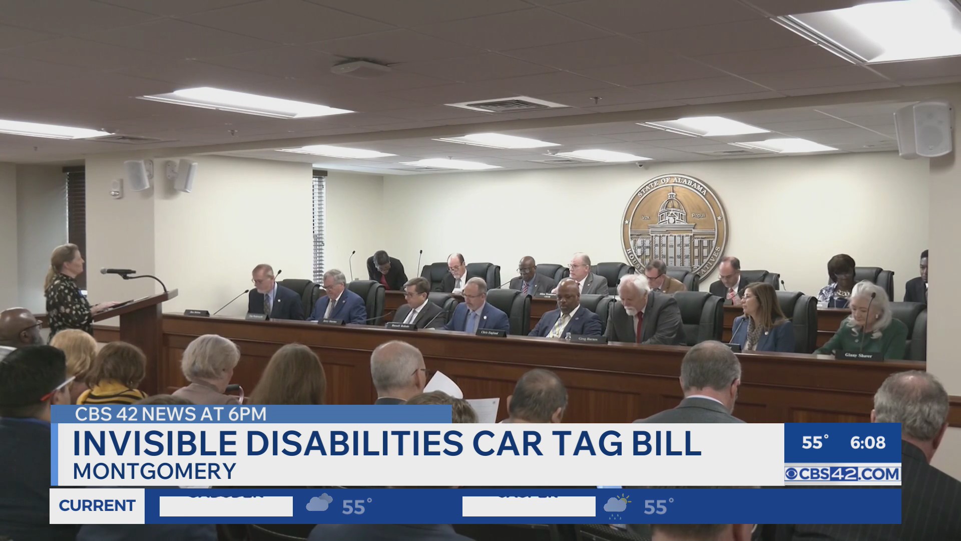 Invisible disabilities car tag bill
