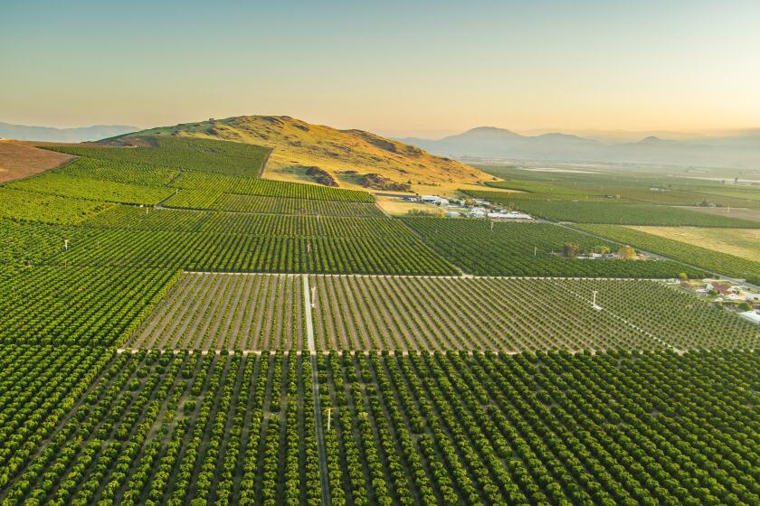 'Water bankruptcy' — UN scientists say much of the world is ...