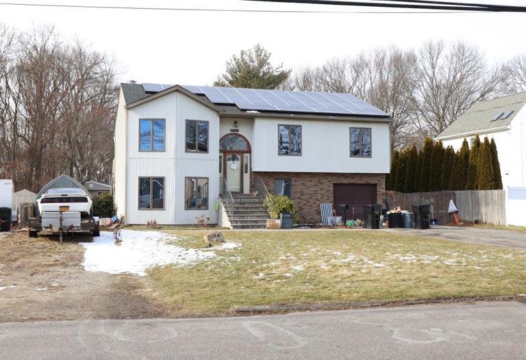 100 cats rescued from breeder’s 'deplorable' urine-drenched Long Island ...