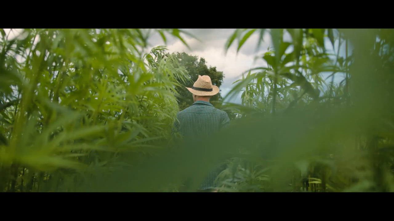 Episode #1.1: Official trailer season 1