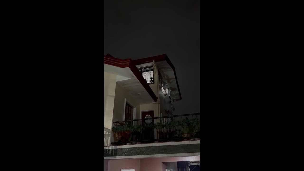 Dachshund’s ‘horror-movie’ window greeting goes viral with 118,500 views