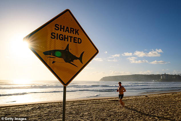 Shark alarm sounds at popular beach as swimmers are warned to stay away