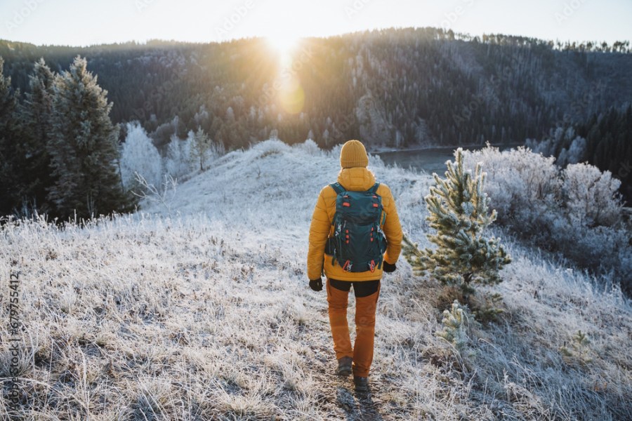 Forest rangers save hiker stuck overnight on Ulster Co. mountain