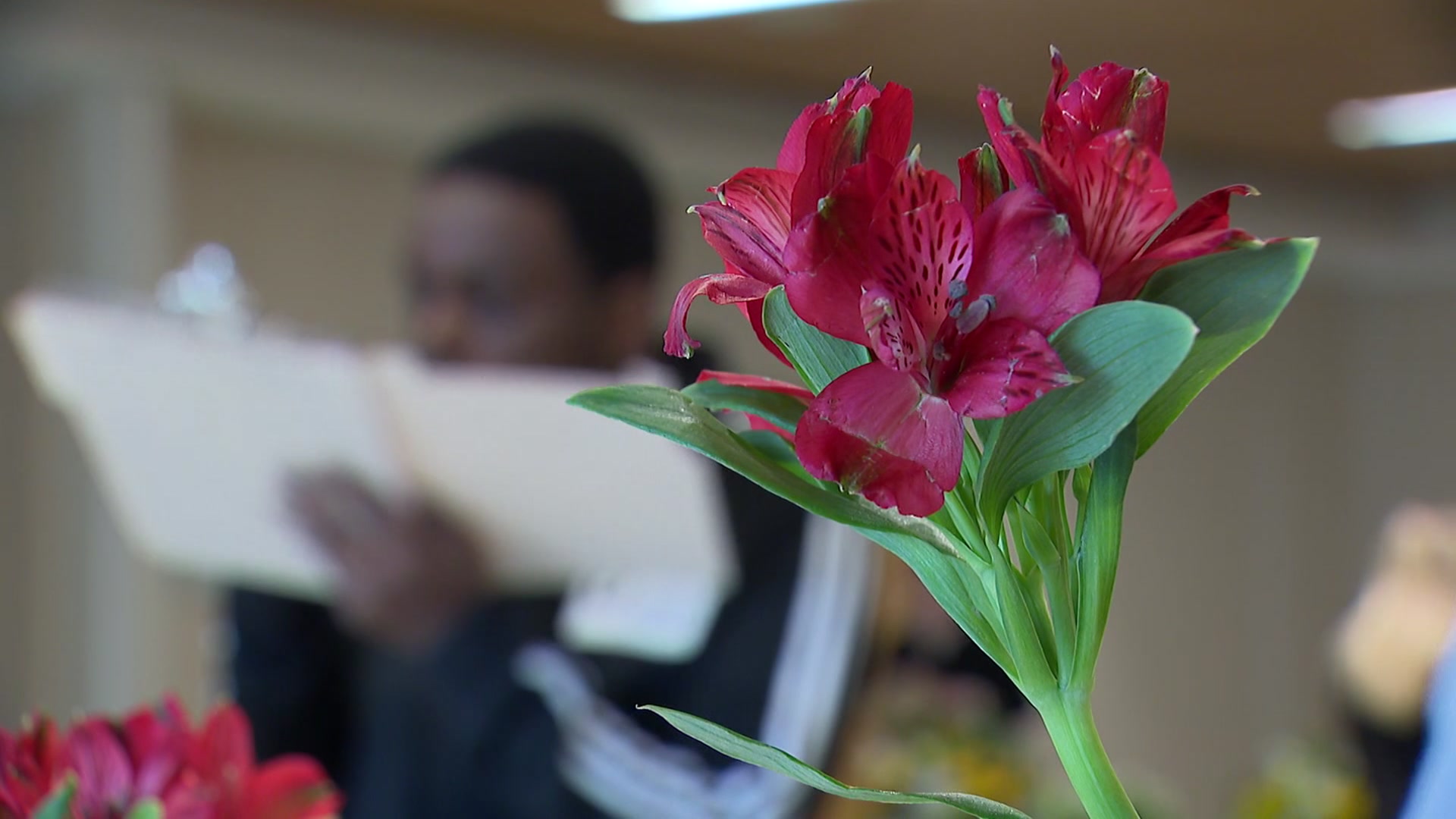 Fort Worth Stock Show & Rodeo floriculture contest puts student on ...