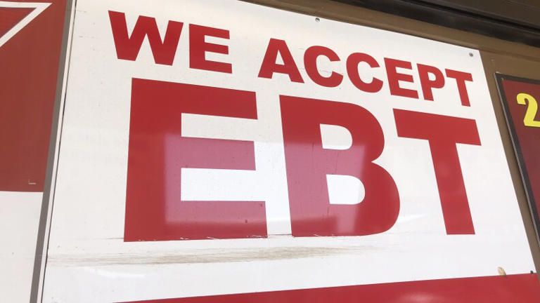 Theft of EBT benefits drops 84% after state-issued chipped cards debut